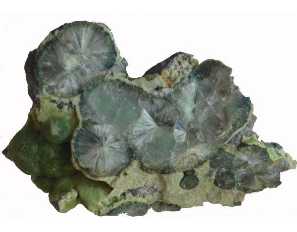 Wavelite - Treasures from the Stone Age